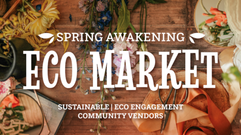 SAMU - Students' Association of MacEwan University